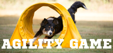 Купить игру Agility Game от 0 ₽ на iwillplay